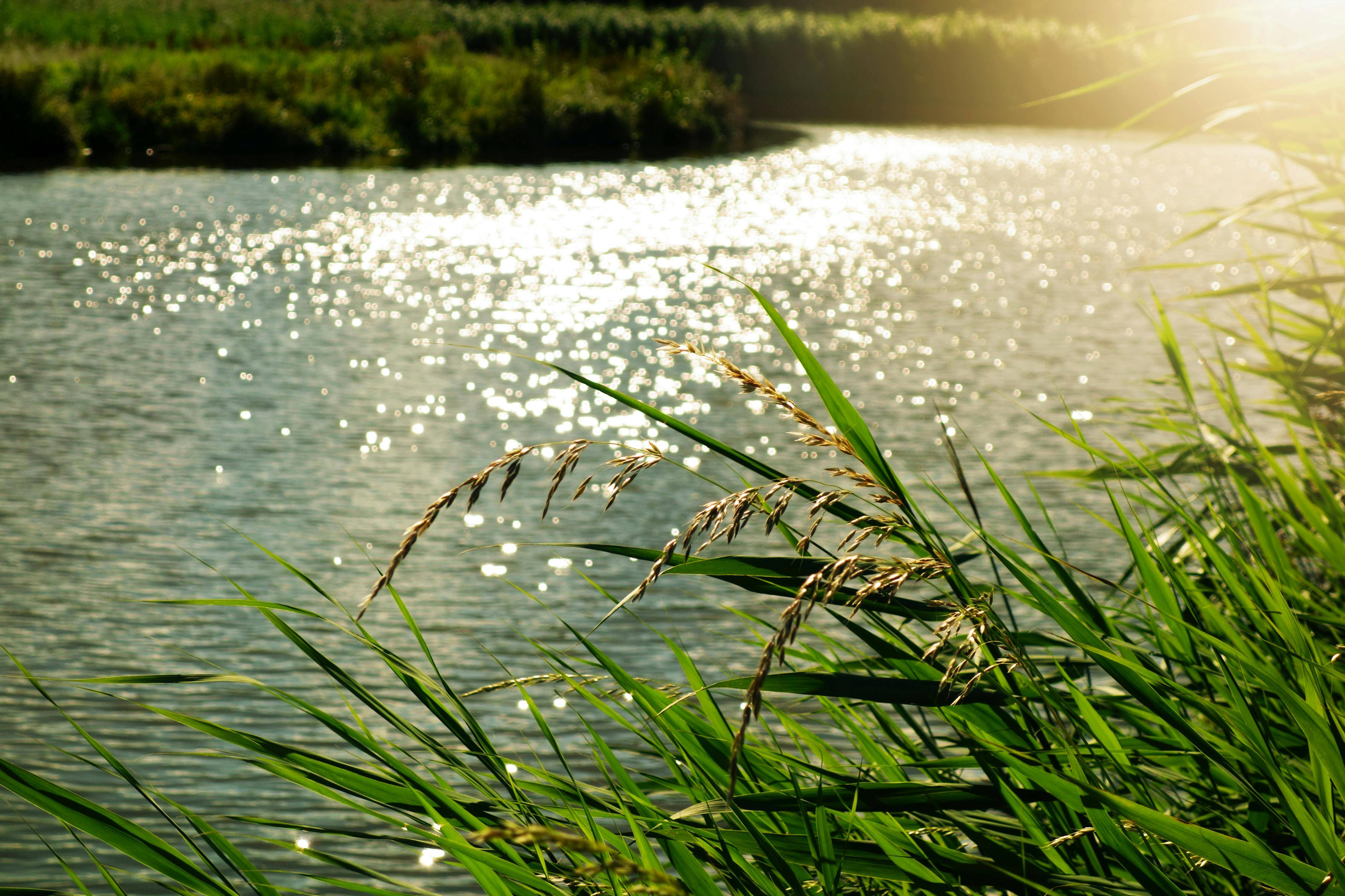 Real-Time Monitoring of Water Quality Parameters using Minitab Connect