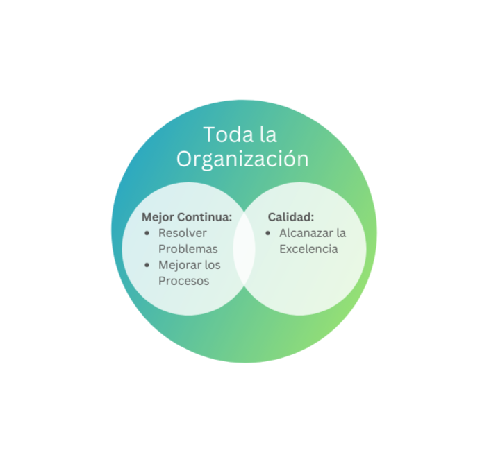 Mejora Continua vs. Calidad: ¿Cuál es la Diferencia?