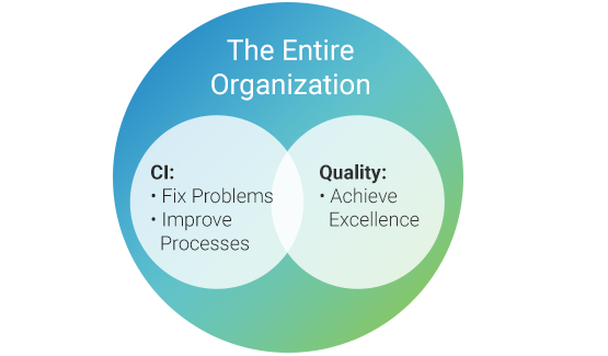 Continuous Improvement Vs Quality Whats The Difference